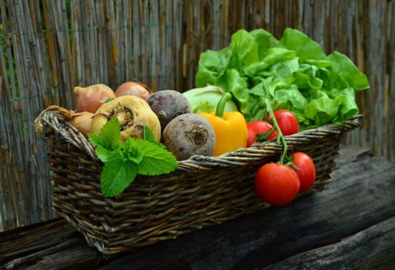 Ciqual : la table de composition nutritionnelle des aliments
